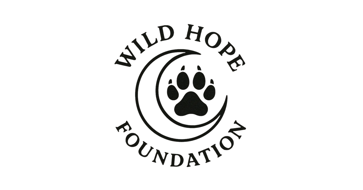 Wild Hope Foundation